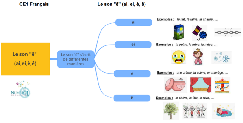 Le son "ê" (ai,ei,è,ê) : leçon et exercices CE1