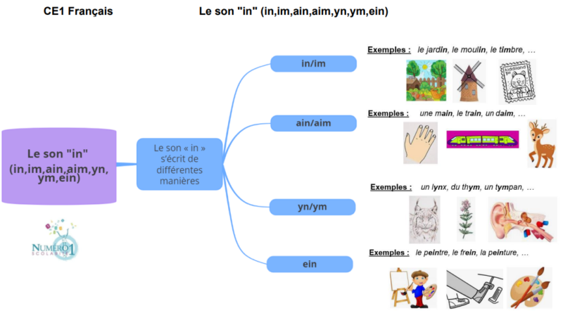Le son "in" (in,im,ain,aim,en,yn,ym,ein) : leçon et exercices CE1
