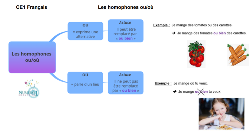 Les homophones ou/où : leçon et exercices CE1