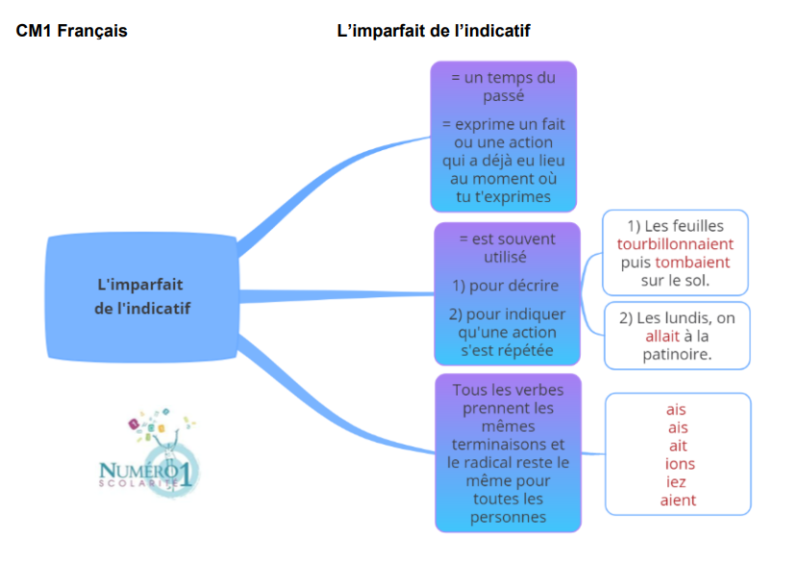 L’imparfait de l’indicatif : leçon et exercices CM1