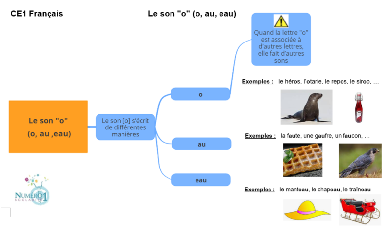 Le son "o" (o, au ,eau) : leçon et exercices CE1